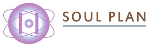 SOUL PLAN READINGS | Sally Francis